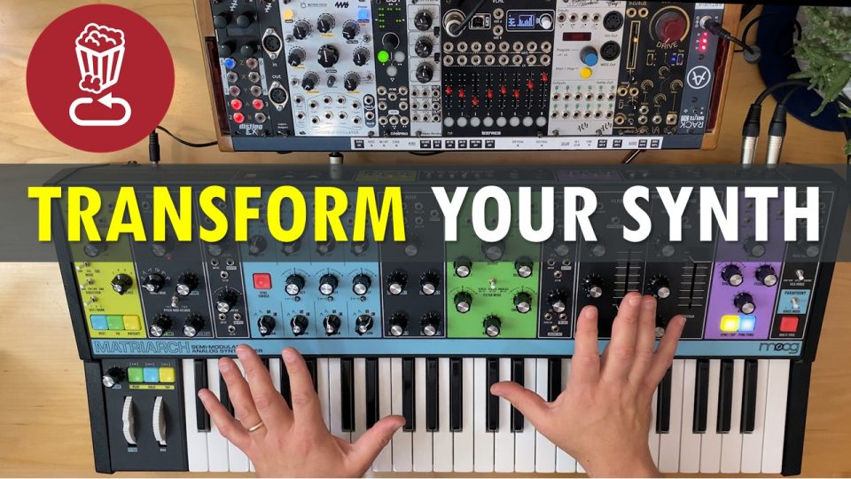 Transform your synth: 10 semi-modular pairing ideas shown with Moog Matriarch – Loopop Music ...